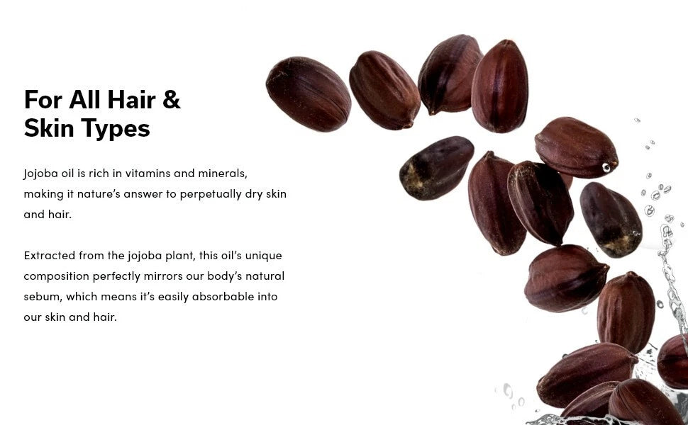 Jojoba Tree Seeds - Simmondsia chinensis Medicinal Oil Plant Goat Nut ...